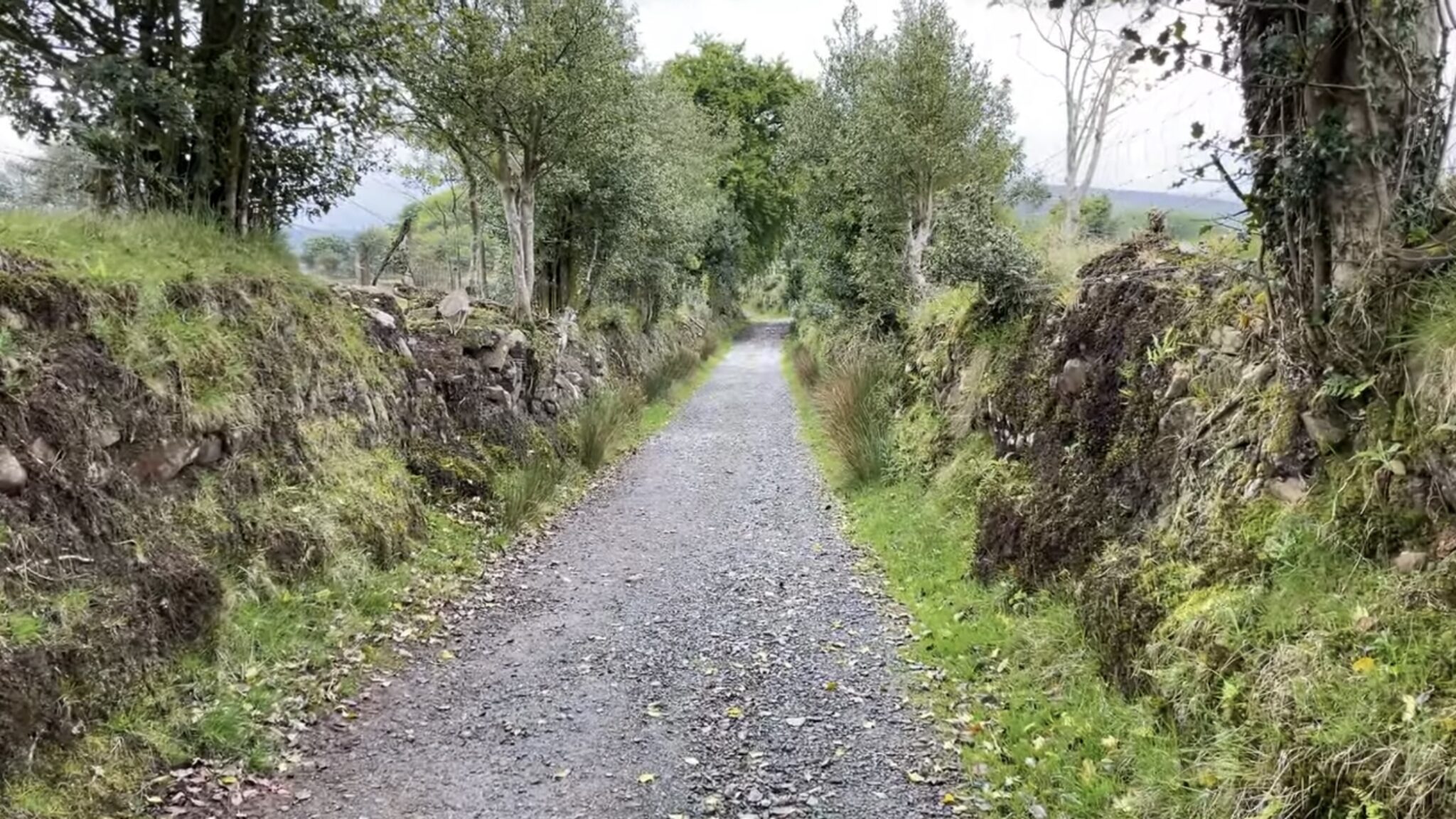 Galtymore: Hike To The Summit- Exploring Europe