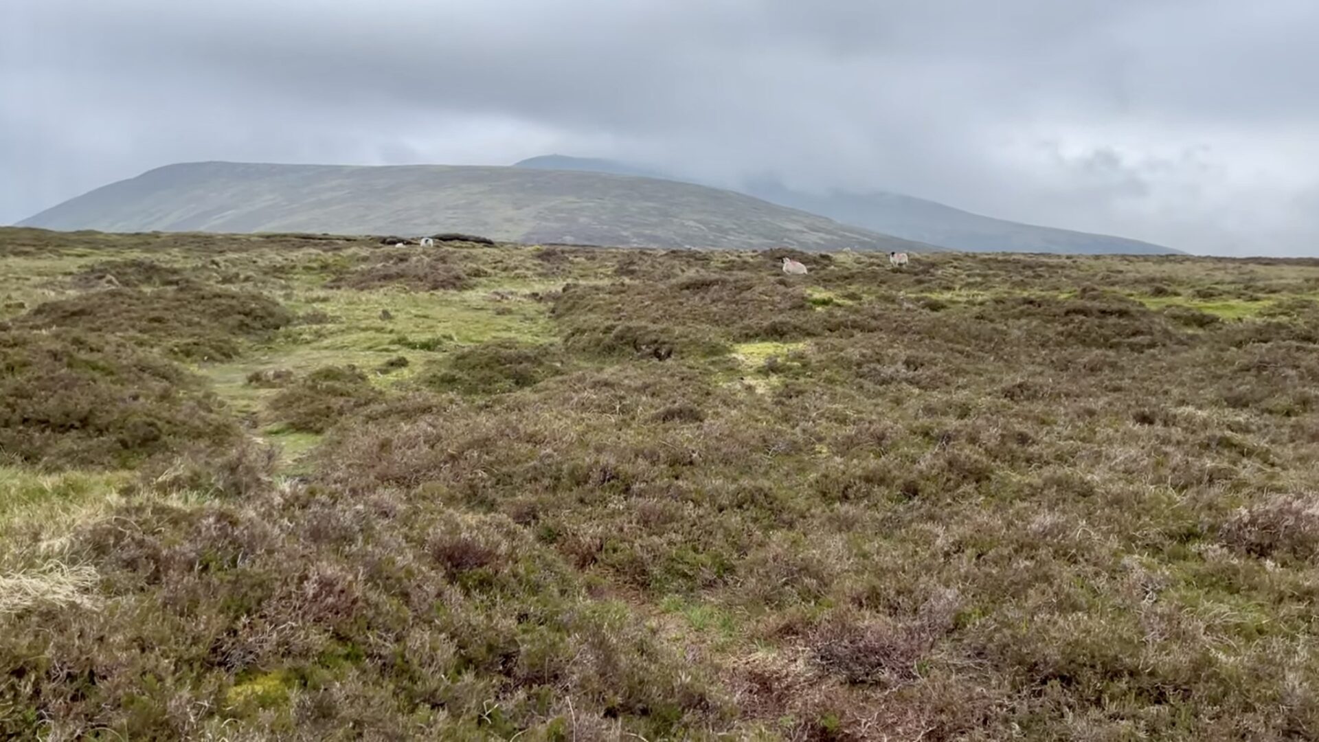 Galtymore: Hike To The Summit- Exploring Europe