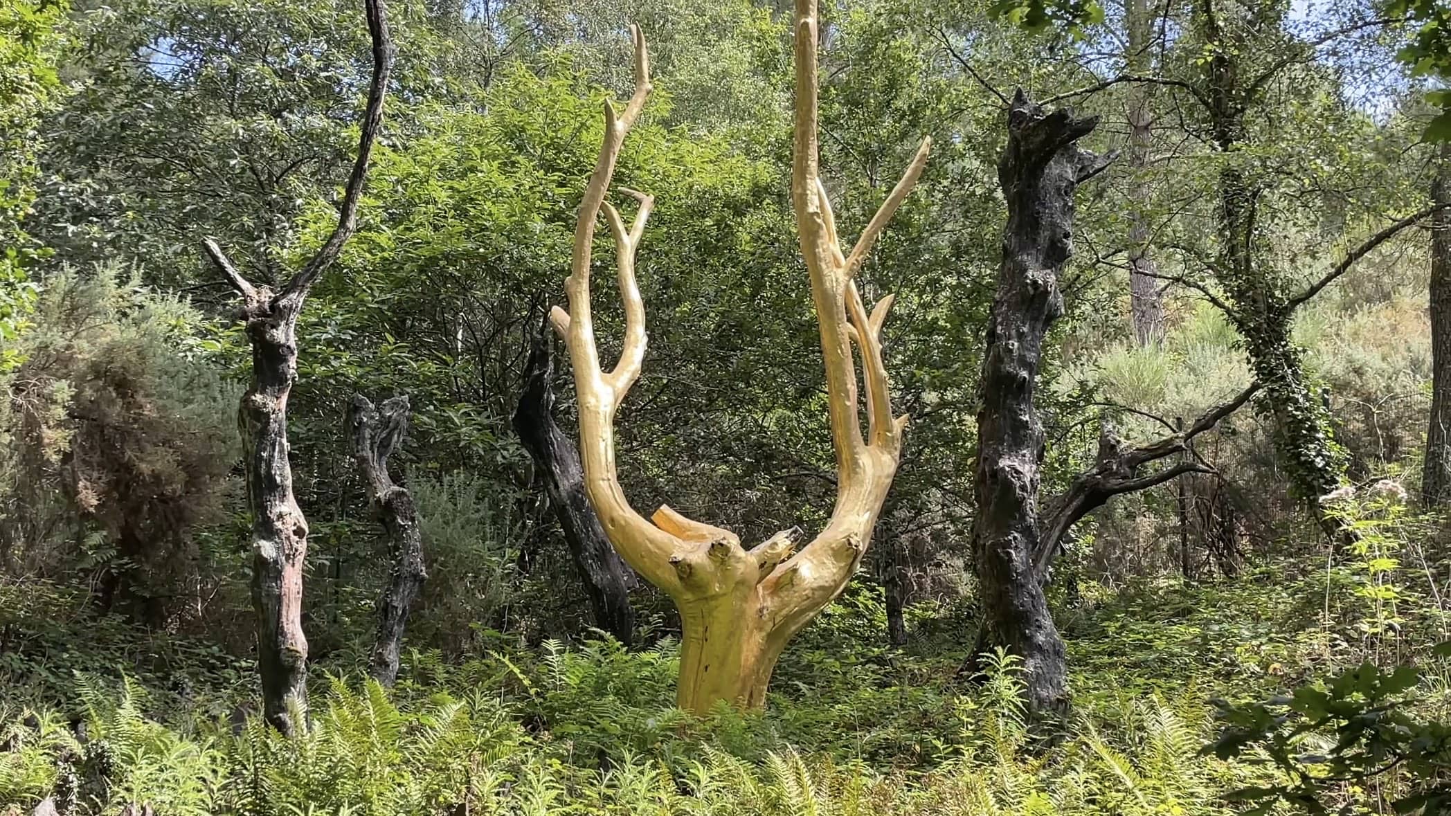 L'Arbre d'Or: Travel Guide & 4K Video - Exploring Europe